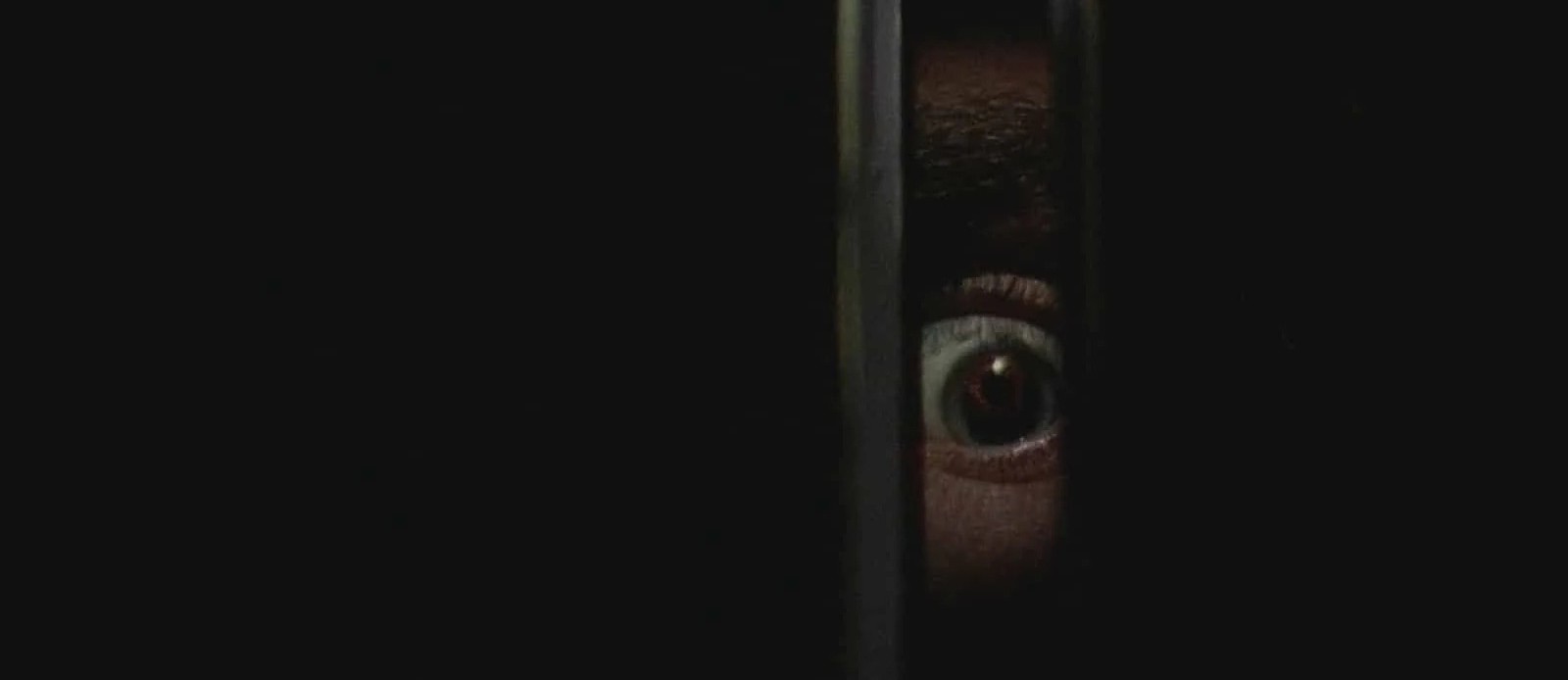 Black Christmas (1974) is a Cosy Christmas Classic (with Murder and C ...